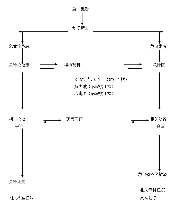 烟台市政府门户网站 服务流程 龙口经济开发区医院服务流程